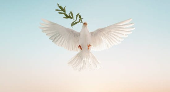 Prophetic Colors according to the Bible with Explanation