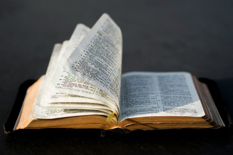 Oseas 12 completo, con explicación y significado - Tu Biblia Online